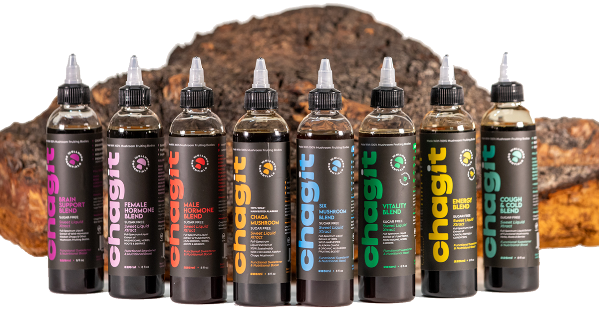 Contact – chagit360