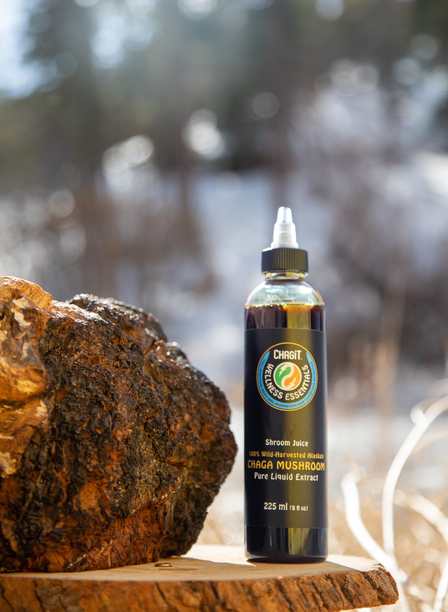 SLX - Pure Chaga | chagit360