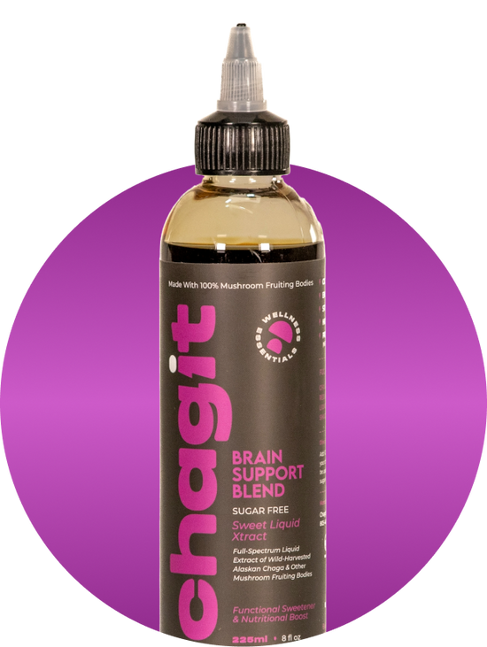 Focus Bundle – chagit360