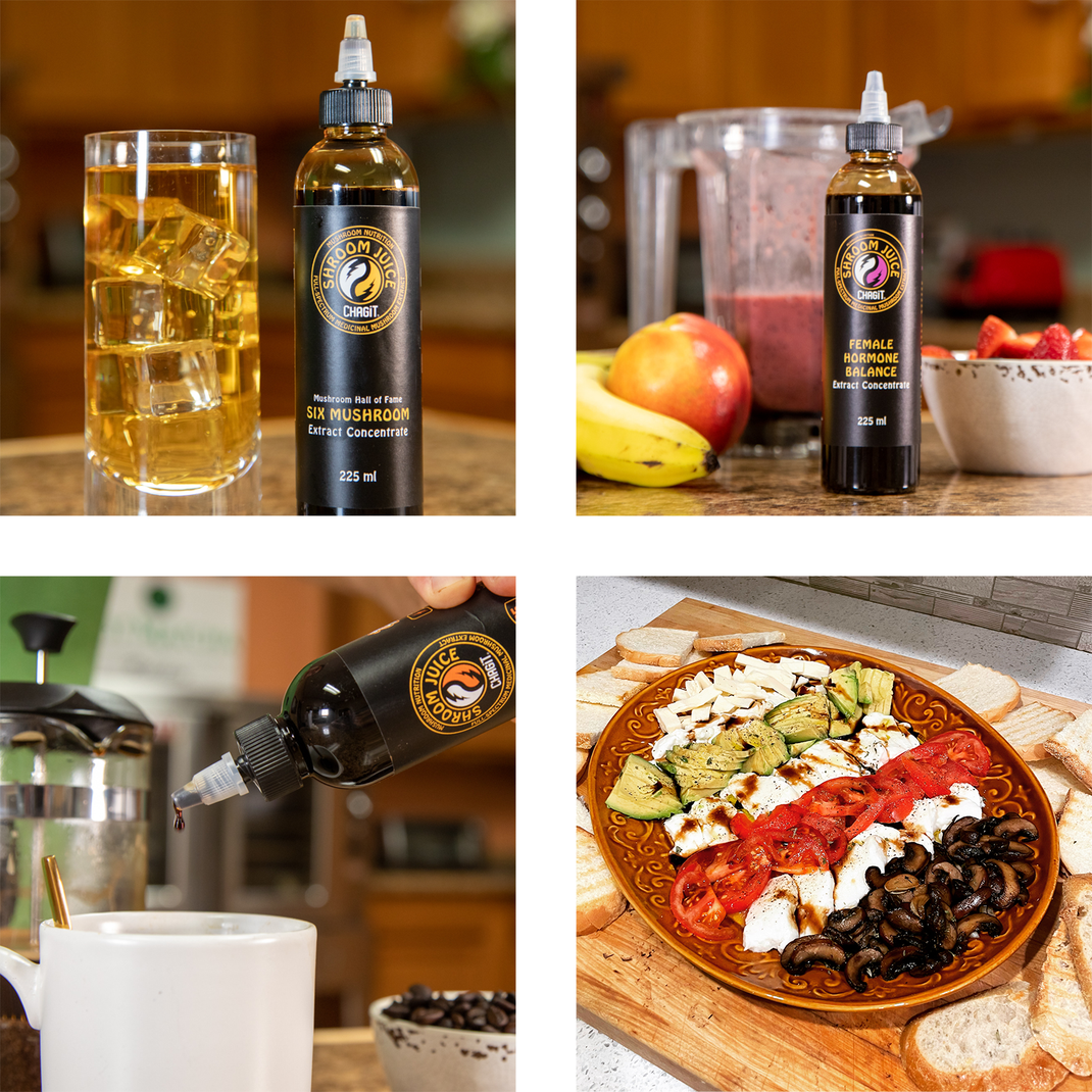 SLX - Six Mushroom Blend | chagit360