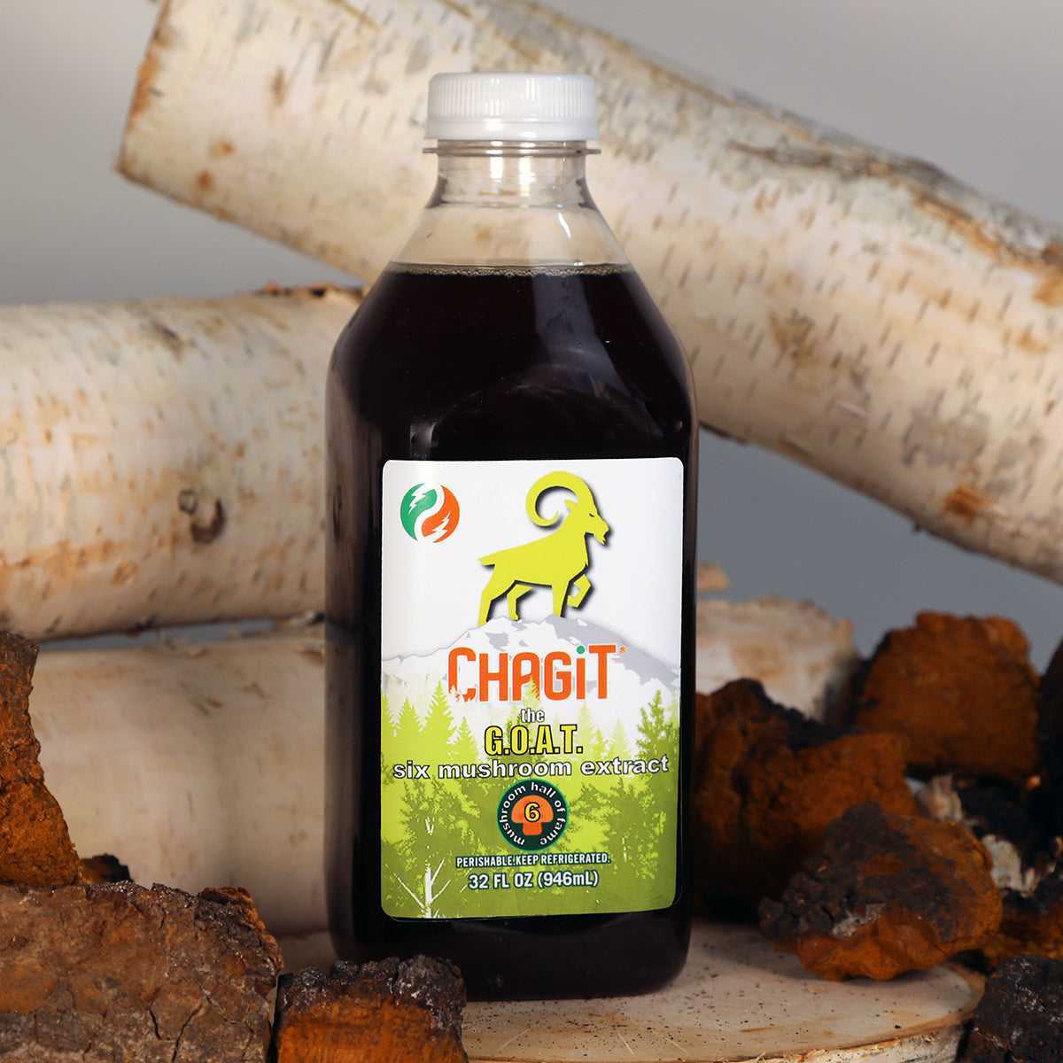 Six Mushroom Blend Shot - 32 oz Bottle | chagit360