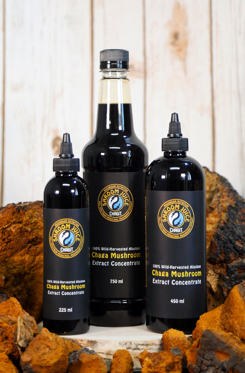 SLX - Pure Chaga | chagit360