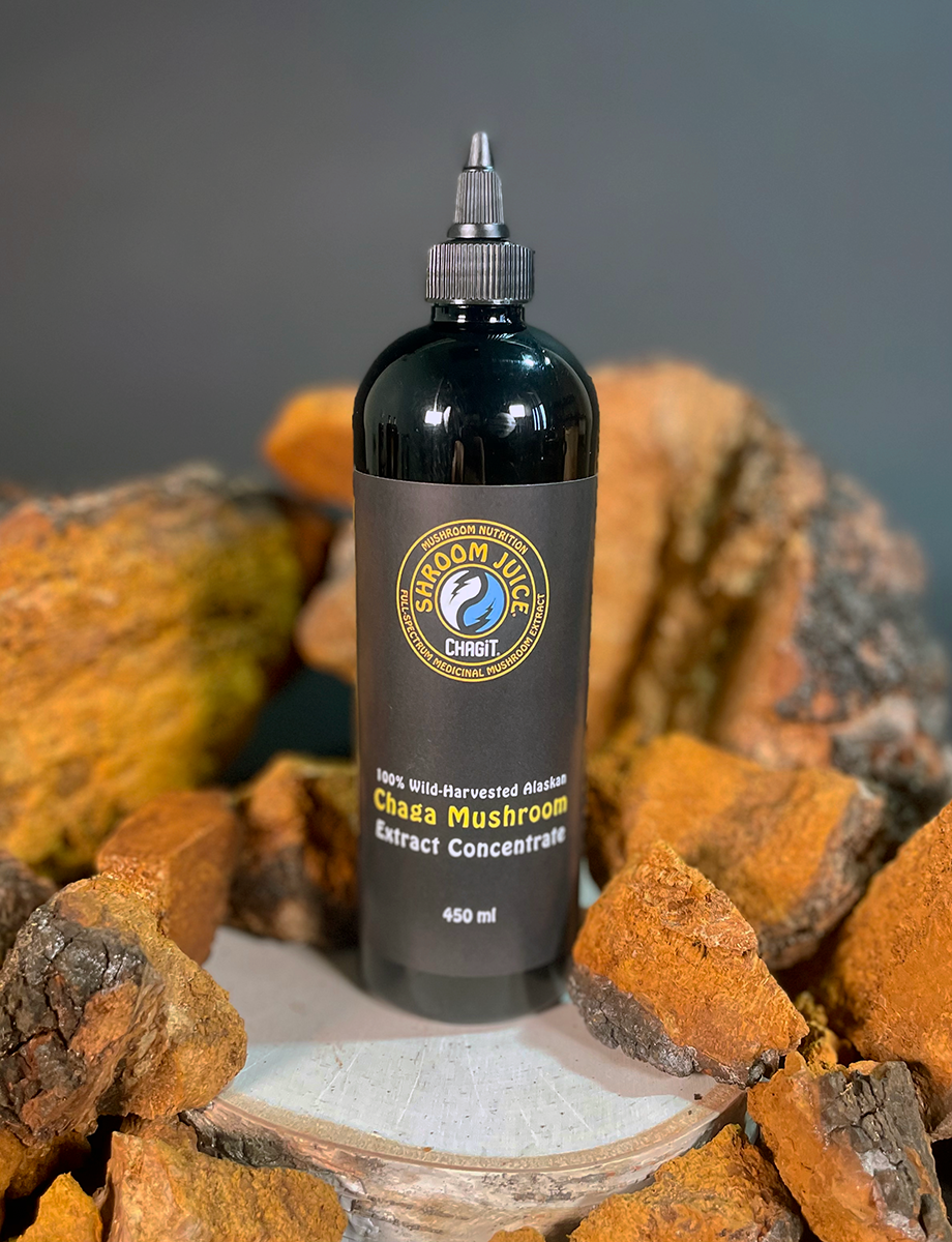 SLX - Pure Chaga | chagit360