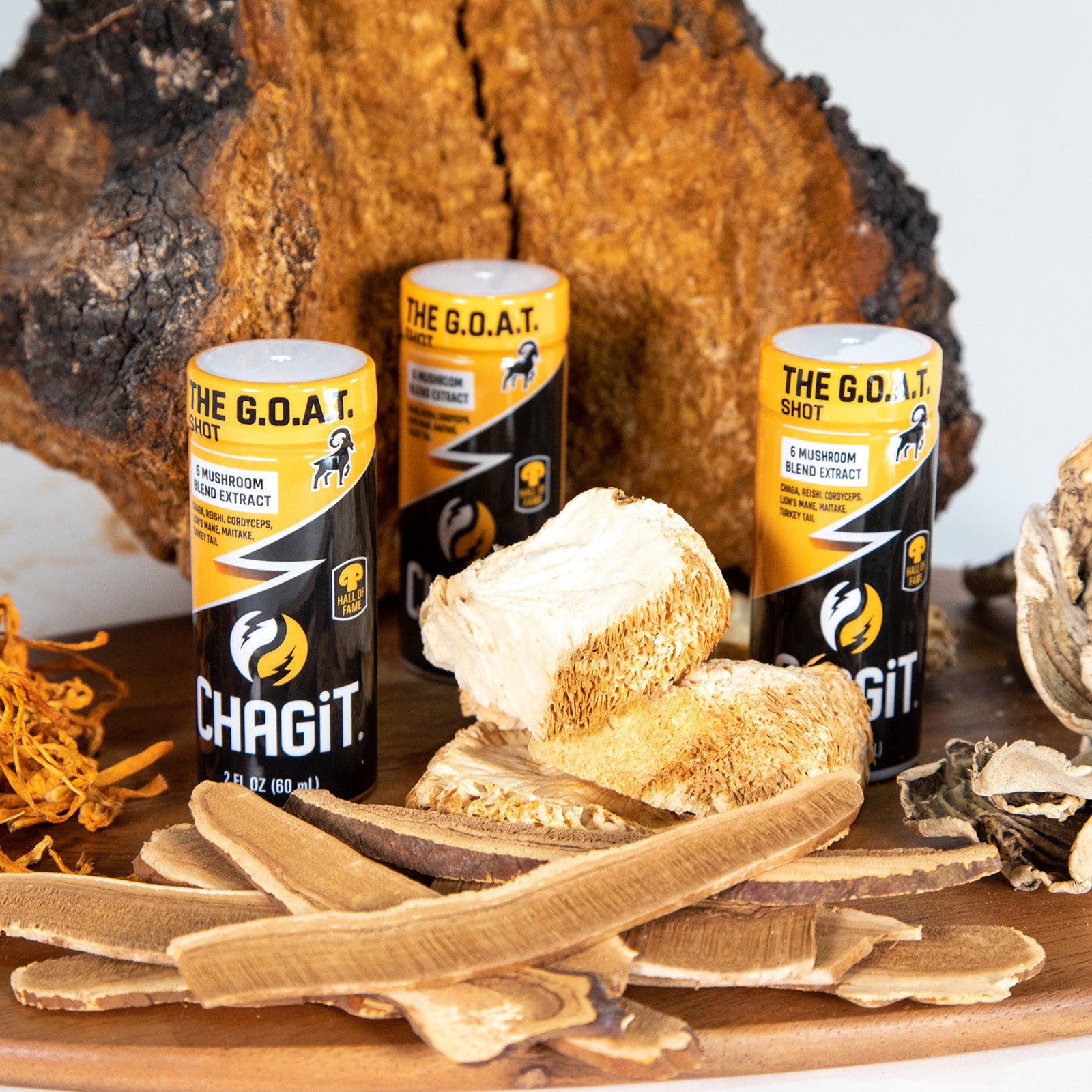 Six Mushroom Shot - Box of 15 | chagit360