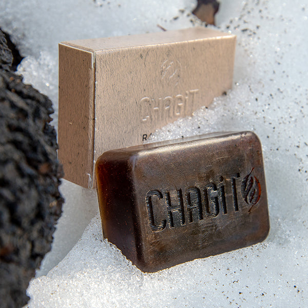 Chaga Mushroom Raw Body Soap – chagit360